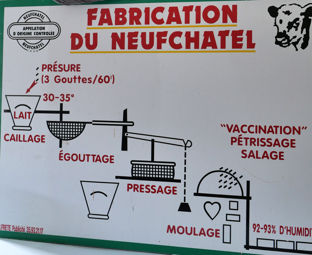 La fabrication du neufchâtel : tout un fromage ! - Etapes de son ...