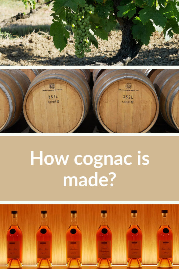 How cognac is made? - Culturez-vous