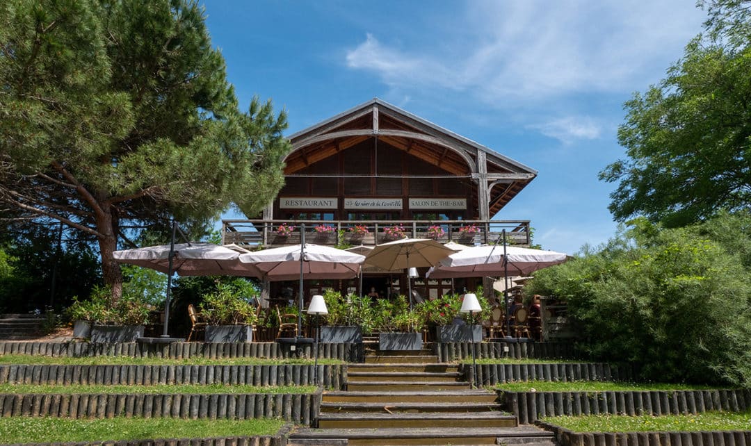 Chatou and its surroundings: a green escape at the gates of Paris