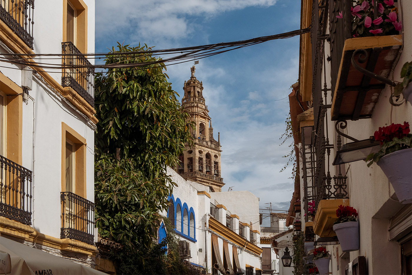 Visiter Cordoue : 5 choses à voir absolument - Guide de voyage