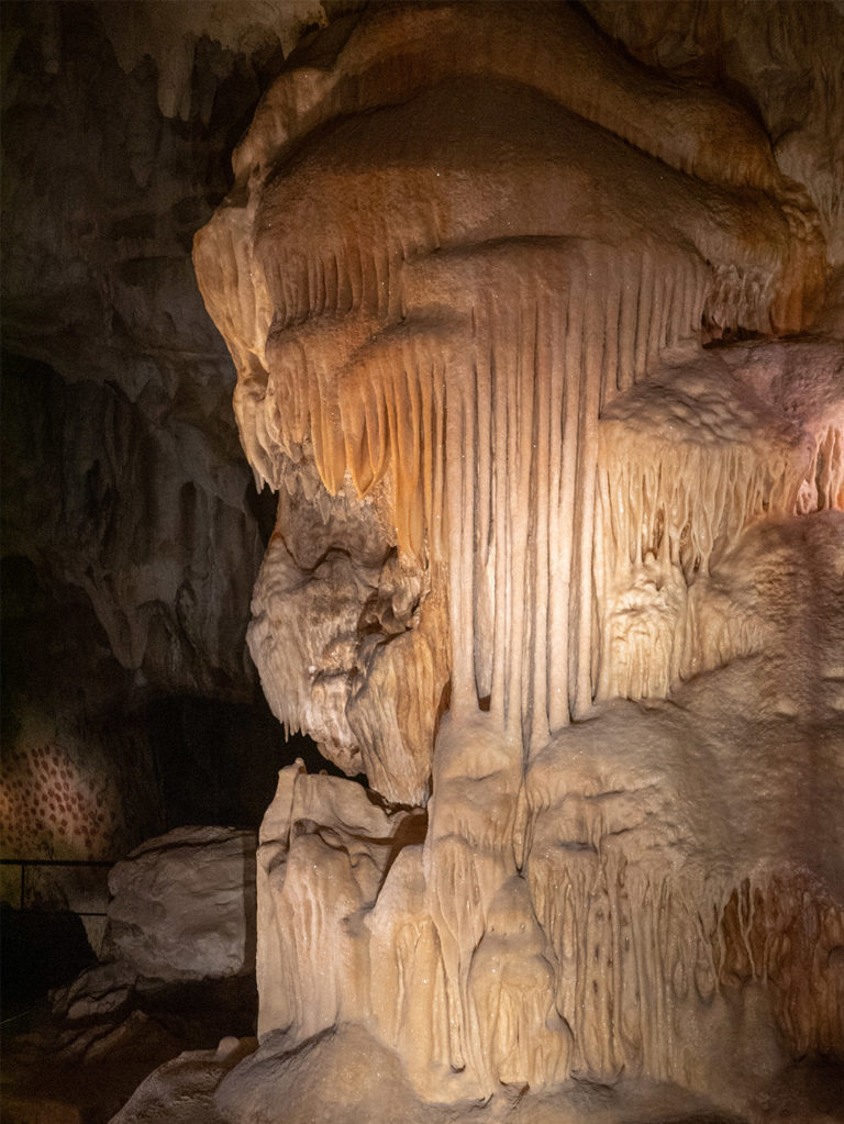 Visit of the Chauvet cave, a treasure from the depths of the centuries