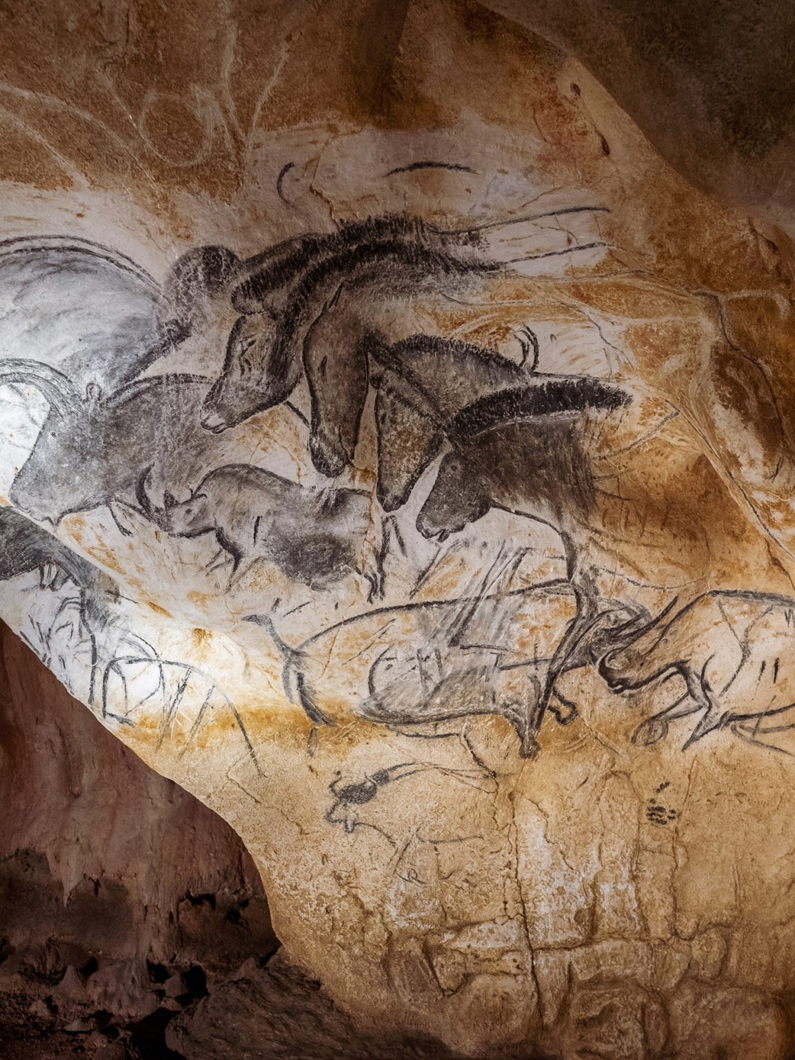 Visit of the Chauvet cave, a treasure from the depths of the centuries