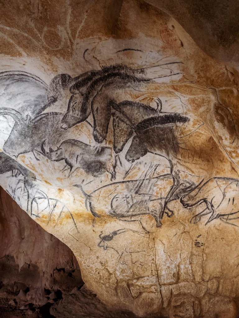Visit of the Chauvet cave, a treasure from the depths of the centuries
