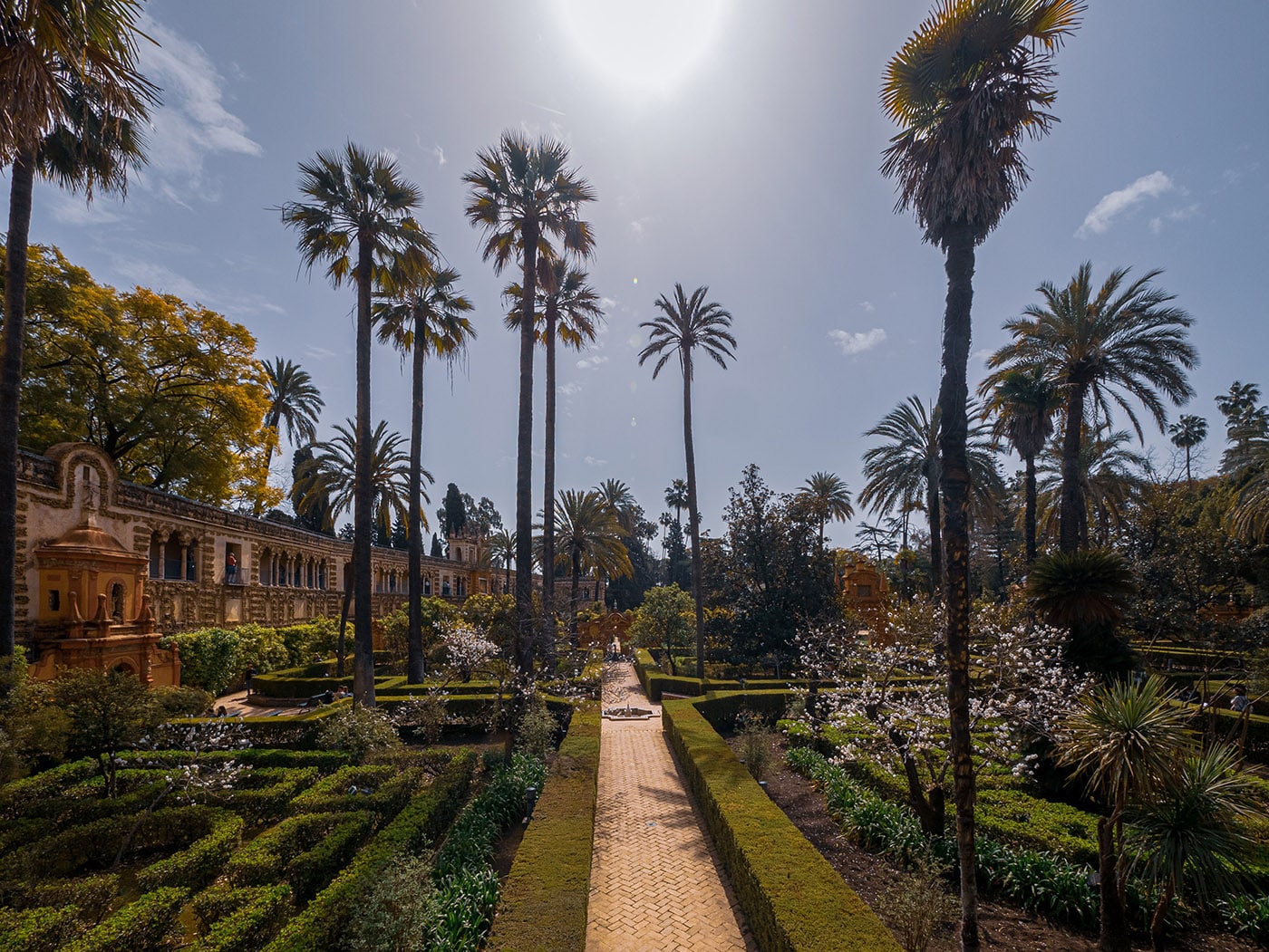 What to do in Seville? City guide, good addresses and tips