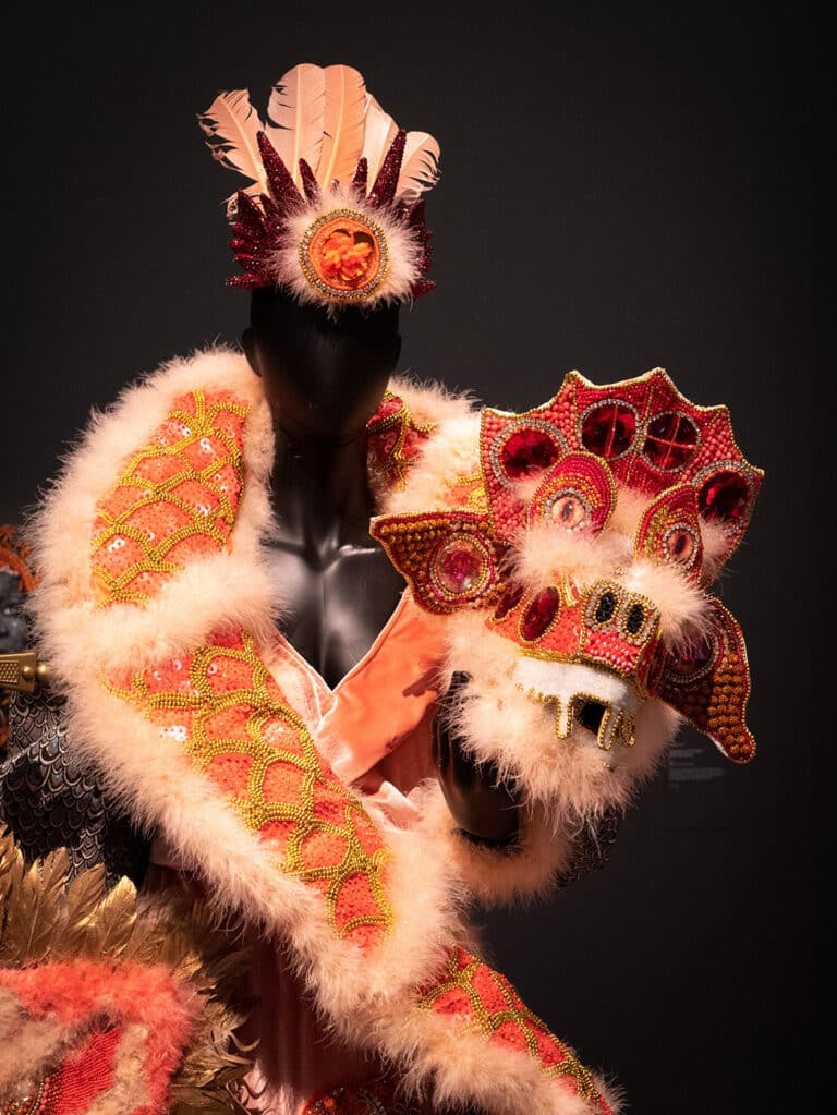 Black Indians at the Quai Branly-Jacques Chirac museum: the traditions ...