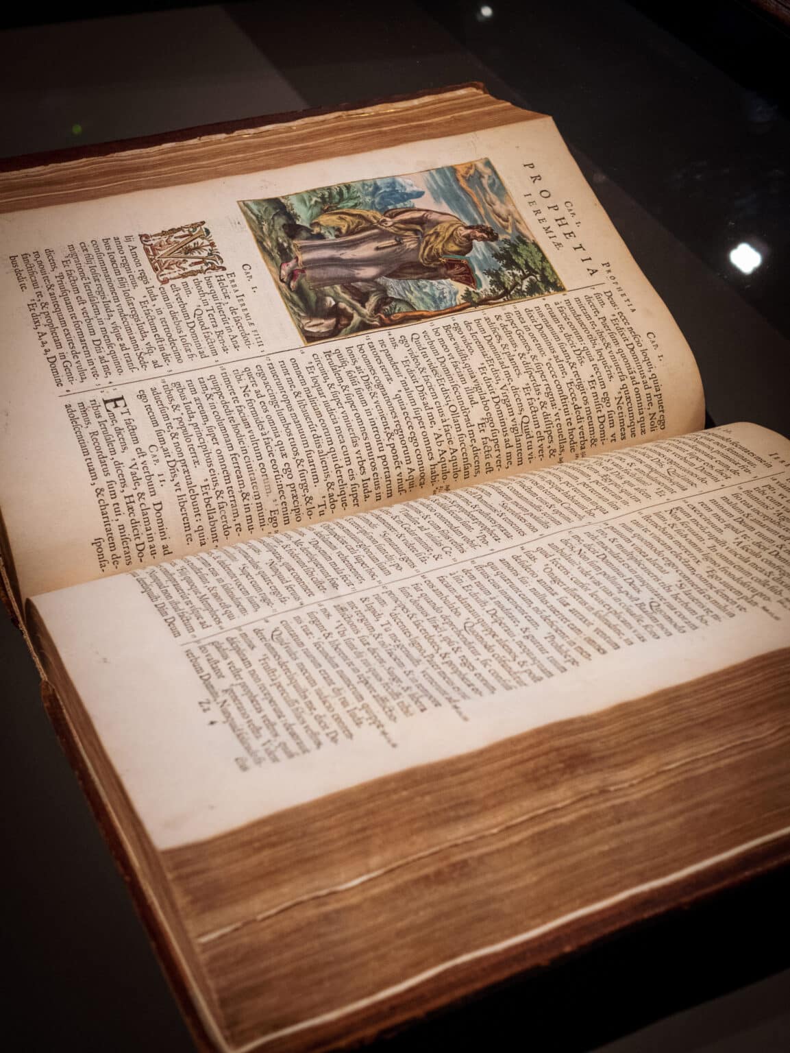 Que faire à Anvers ? 8 visites incontournables ! - Blog voyage