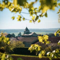 Que faire à Colombey-les-Deux-Eglises ? Escapade sur les traces du Général de Gaulle