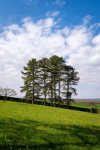 Que faire à Colombey-les-Deux-Eglises ? Escapade sur les traces du Général de Gaulle